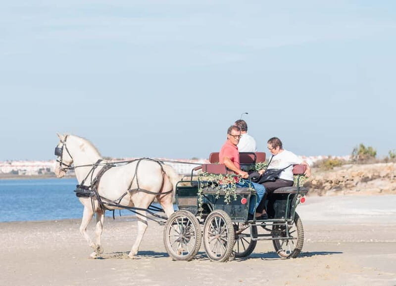 CARRIAGE Ride On The Beach (Rosário Beach) - Detailed Itinerary Breakdown