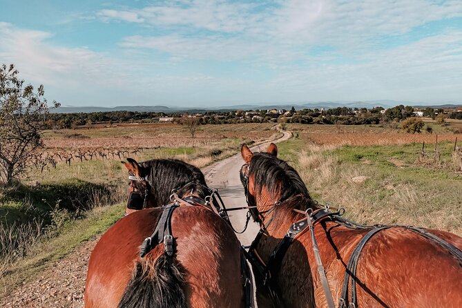 Carriage rides, Pays de Sommières - Key Points