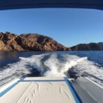 Cartagena: Guided tour by boat to the Isla de las Palomas - Who Should Consider This Tour?