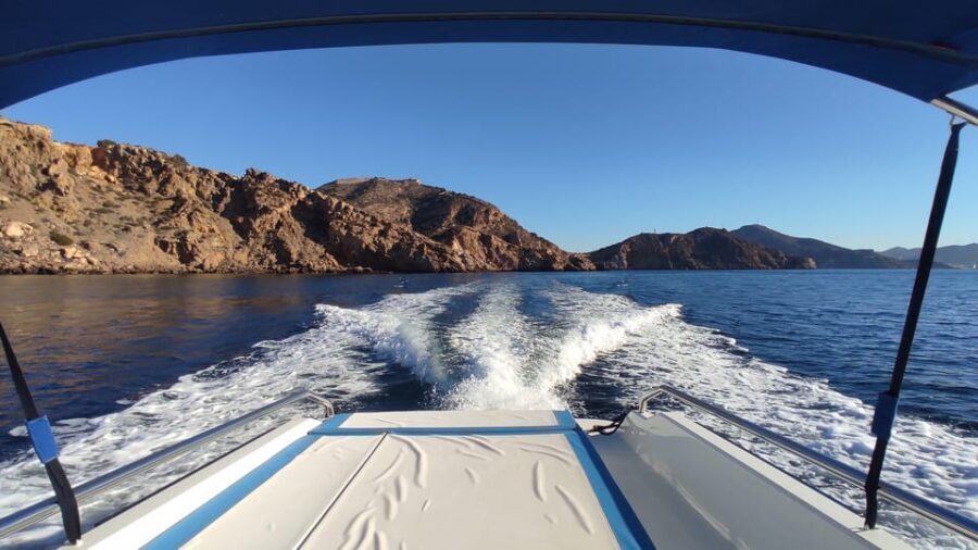 Cartagena: Guided tour by boat to the Isla de las Palomas - Who Should Consider This Tour?