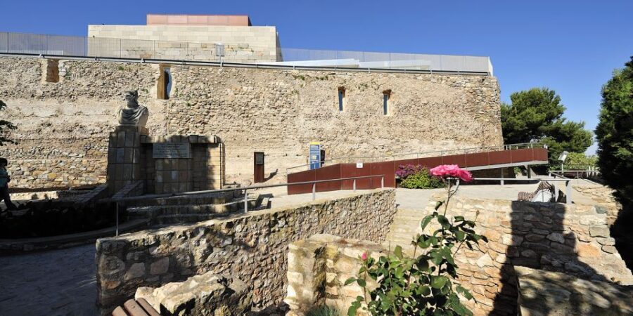 Cartagena: Roman Theater, Forum, Castle and Panoramic Lift - Who Will Enjoy This Tour?