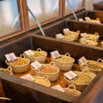 Casa Vermouth Padró: Vermouth tasting and guided visit in Bràfim (Tarragona) - A Sensory Encounter: Touch, Smell, & Taste