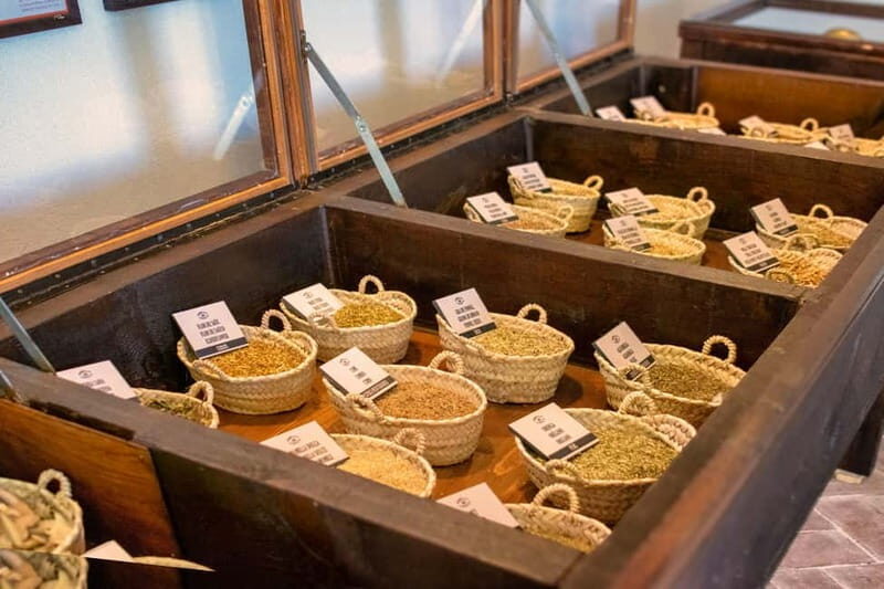 Casa Vermouth Padró: Vermouth tasting and guided visit in Bràfim (Tarragona) - A Sensory Encounter: Touch, Smell, & Taste