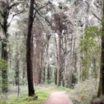 Cascais: Open Water Swimming and Hiking Experience - Scenic Lunch at Cresmina