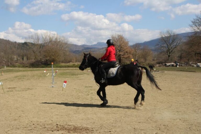 Casentino: Horseback Riding Tour with Verna Sanctuary View - What Makes This Ride Stand Out