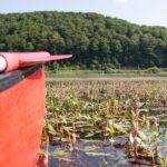 Caserta: canoeing excursion on Lake Matese - The Itinerary: What to Expect