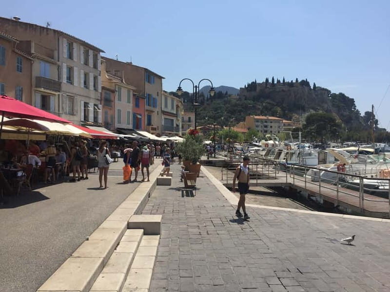 Cassis, Bandol, Le Castellet wine tour: Cliffs and Vineyards - Authentic Experiences and Practicalities