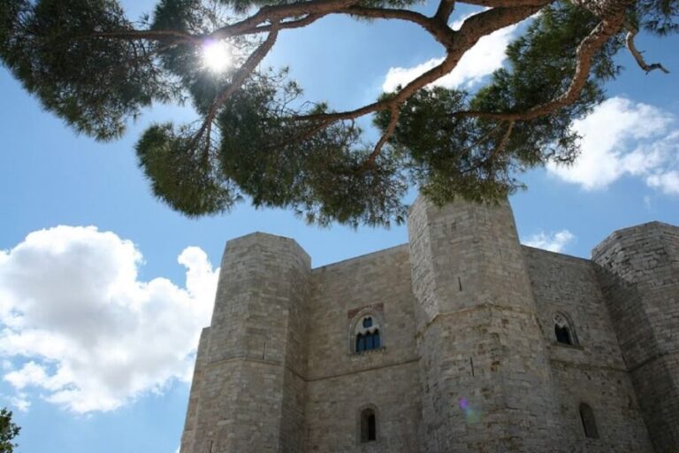 Castel del Monte Tour with transfer from Trani - Inside Castel del Monte: What Makes It Special