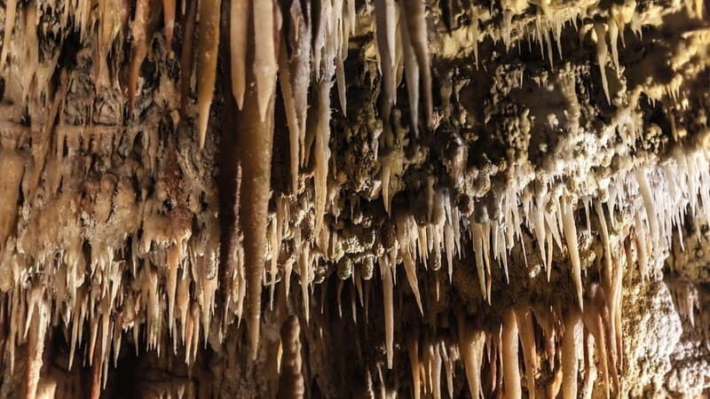 Castellana Caves Guided Tour - Detailed Breakdown of the Itinerary