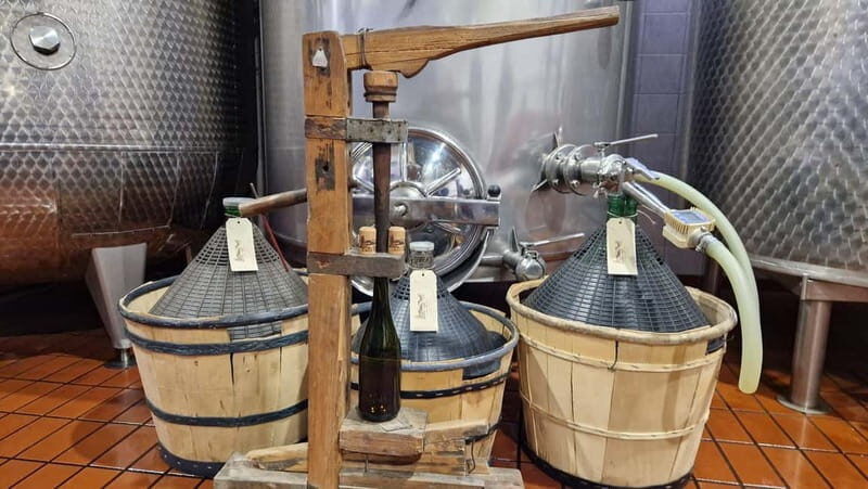 Castell'Arquato: Winery tour and tasting Colli Piacentini wines - Who Will Love This Tour?