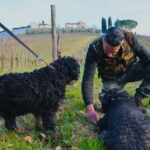 Castellina in Chianti: Truffle Search, Wine Tasting & Lunch - Exploring the Experience