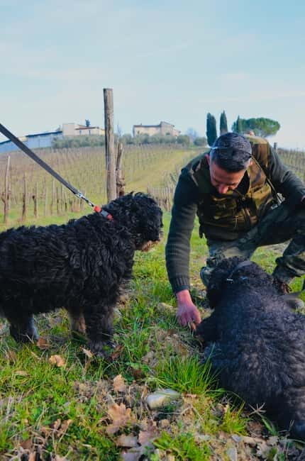 Castellina in Chianti: Truffle Search, Wine Tasting & Lunch - Exploring the Experience