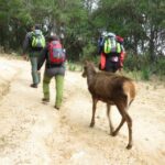 Castiadas: trekking in the S'Acqua Callenti forest - An Honest Look at the Experience