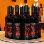 Castle Winery Tour & Tasting near Lake Maggiore - Who Will Love This Tour?