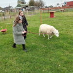 Castlegadddery: Murtagh's Organic Farm Guided Tour - FAQs