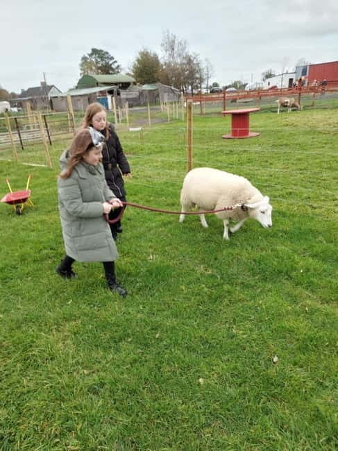 Castlegadddery: Murtagh's Organic Farm Guided Tour - FAQs
