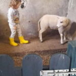 Castlegaddery: Murtagh's Organic Farm Entry Ticket - A Close Look at Murtaghs Organic Farm