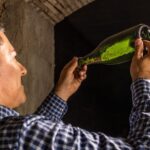 Catalonia: Unique, bespoke wine cellar visits - Who Will Love This Tour?