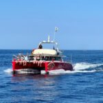 Catamaran cruise to the Lavezzi Islands - What Makes This Tour Stand Out