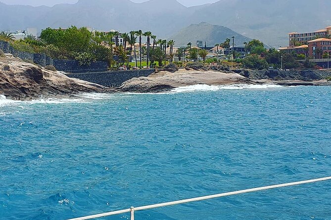 CATAMARAN OCEAN CRUISE TOUR, Food & Drinks included! - The Practicalities: Transportation, Group Size, Cost