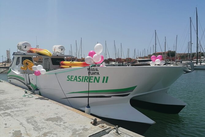 Catamaran Private Tour - Benagil & Marinha Beach - (28 PAX) - The Experience in Detail: A Day on the Algarve Coast
