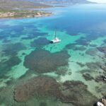 Catamaran tour Asinara island national park Buriana Charter - What We Love About This Tour
