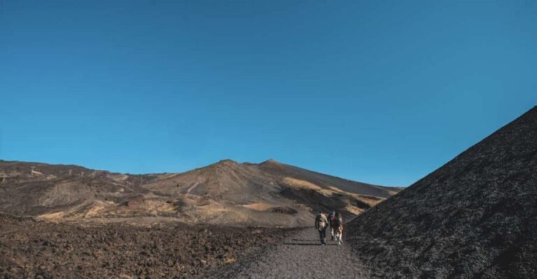 Catania: Etna Morning Excursion with Tasting and Pickup - An In-Depth Look at the Experience