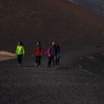 Catania: Guided Tour of Etna with Wine Tasting & Appetizers - Practical Considerations: What Travelers Need to Know