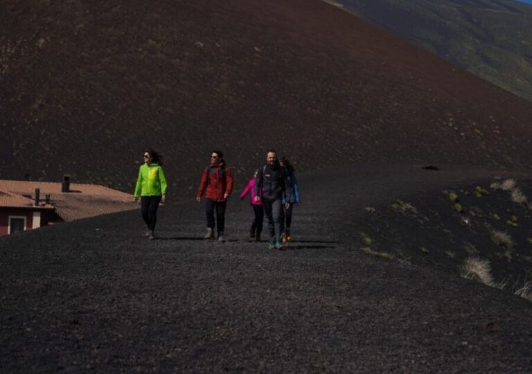 Catania: Guided Tour of Etna with Wine Tasting & Appetizers - Practical Considerations: What Travelers Need to Know