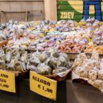 Catania Historic center Walking tour - The Itinerary and What to Expect