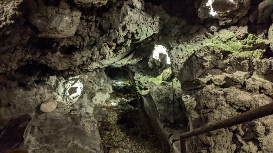 Catania: Underground Catania Tickets and Guided Tour - Authentic and Engaging Insights from Travelers