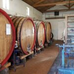 Catania: Wine Tour - The Sum Up
