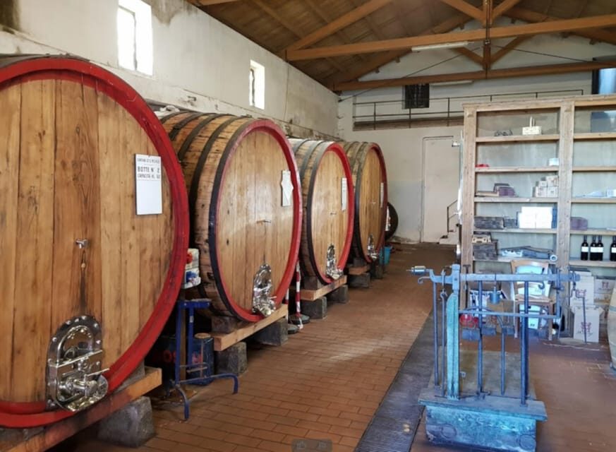 Catania: Wine Tour - Who Should Consider This Tour?