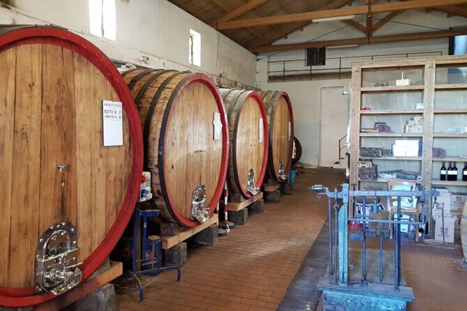 Catania: Wine Tour - The Sum Up