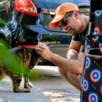 Cats of Athens - Walking Tour - What to Expect from the Tour