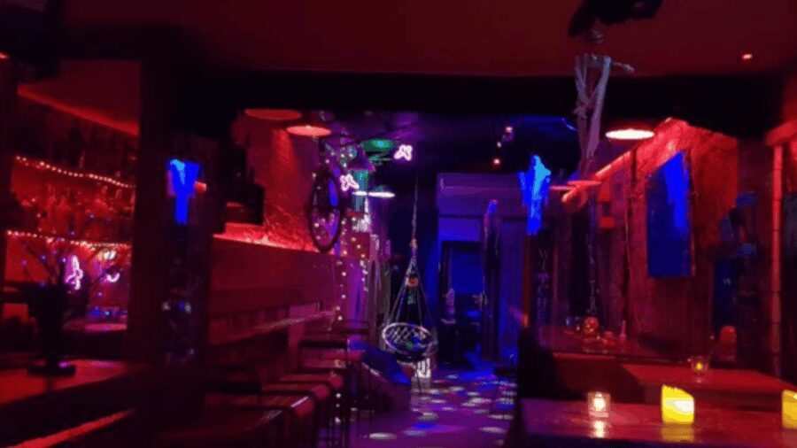 CAVA KARAOKE PARTY - Who Will Love This Experience?