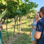 Cavaion: Lake Garda Wine & Food Tasting with Vineyard Tour - Food Pairings and Local Products