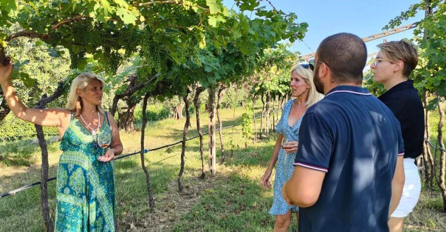 Cavaion: Lake Garda Wine & Food Tasting with Vineyard Tour - Food Pairings and Local Products