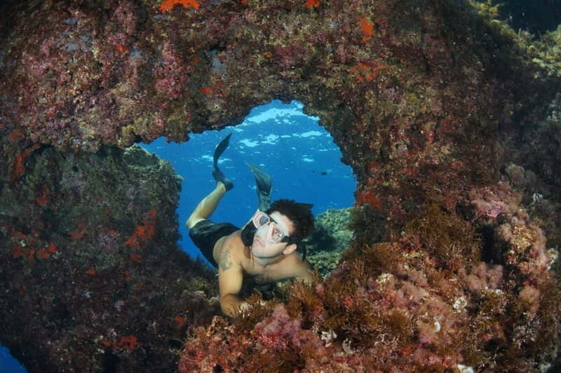 Cave & Coves Argentario Half Day Snorkeling Tour - The Practical Side: Value, Duration, and Considerations