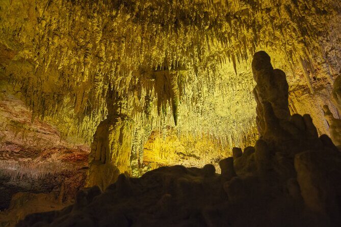 Caves Drach Boat Trip from Alcudia with Return Bus and Tickets - Exploring the Itinerary in Detail