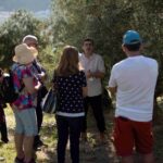 Cazorla: Olive grove and mill tour - An In-Depth Look at the Olive Grove and Mill Tour