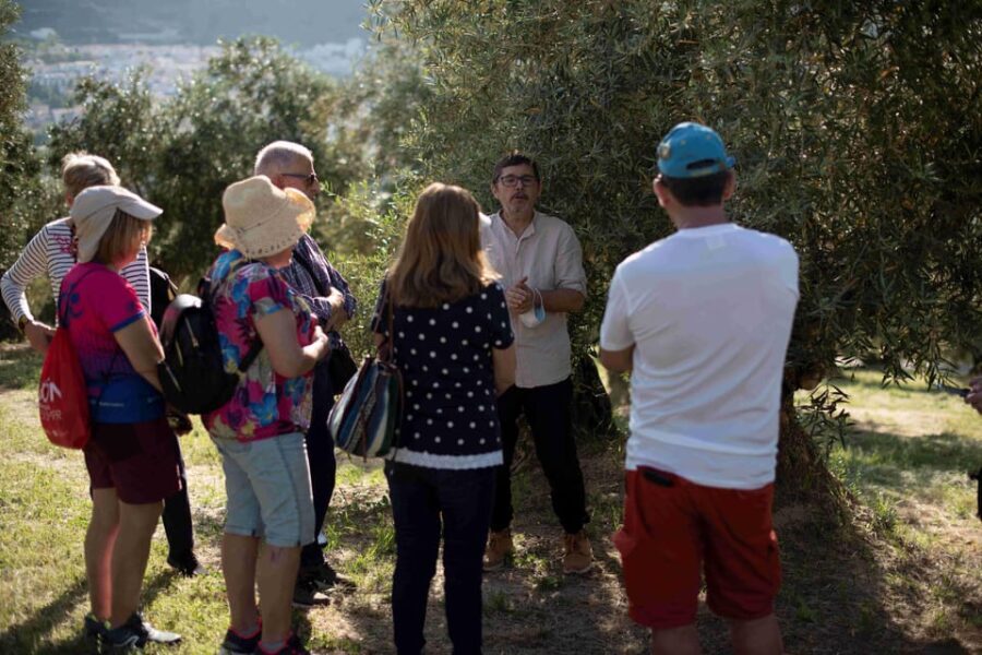 Cazorla: Olive grove and mill tour - An In-Depth Look at the Olive Grove and Mill Tour