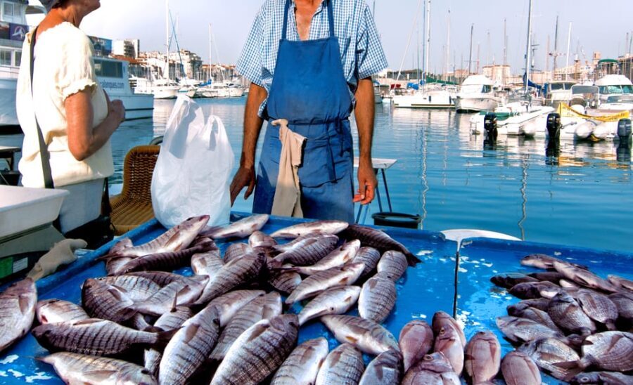 Cefalù: Market Tour and Meal at a Local's Home - Common Questions Answered