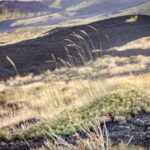 Cefalù: Mount Etna to 1900-Meters and Taormina Tour - Discovering Mount Etna: Europes Most Active Volcano