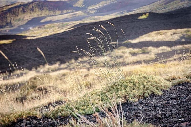 Cefalù: Mount Etna to 1900-Meters and Taormina Tour - Discovering Mount Etna: Europes Most Active Volcano