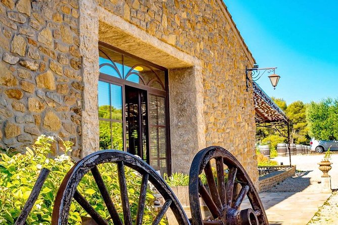 Cellar Visit & Bandol Wine Tasting (in French) - Key Points