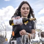 Celorico De Basto: Quinta de Santa Cristina Winery Tour - What’s Included and How to Book