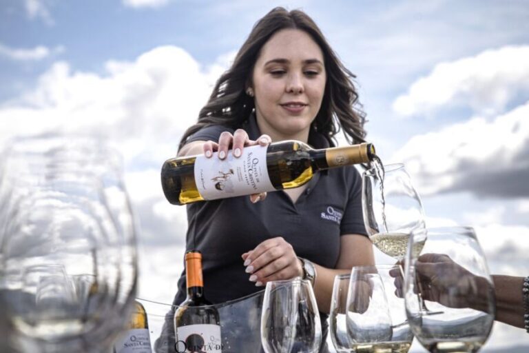 Celorico De Basto: Quinta de Santa Cristina Winery Tour - What’s Included and How to Book