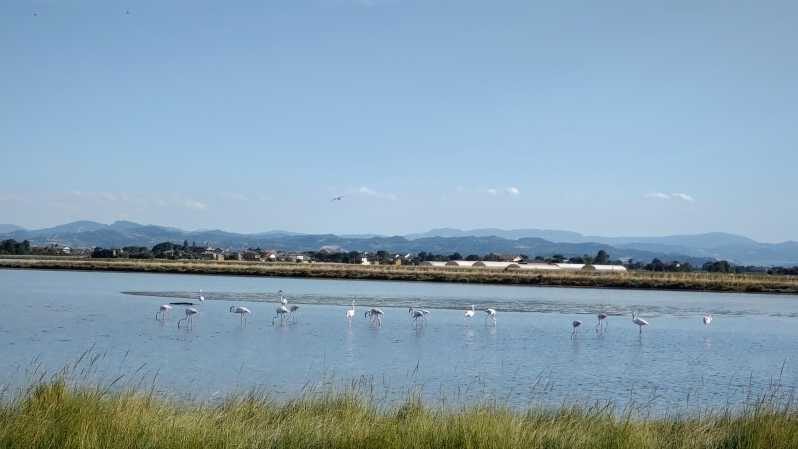 Cervia & Milano Marittima on APE CALESSINO vintage - The Sum Up