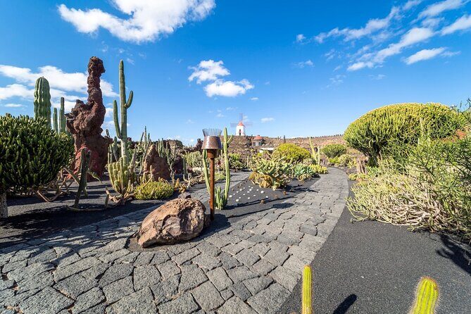 Cesar Manrique Highlights Half Day Tour - How Much Is It Worth?